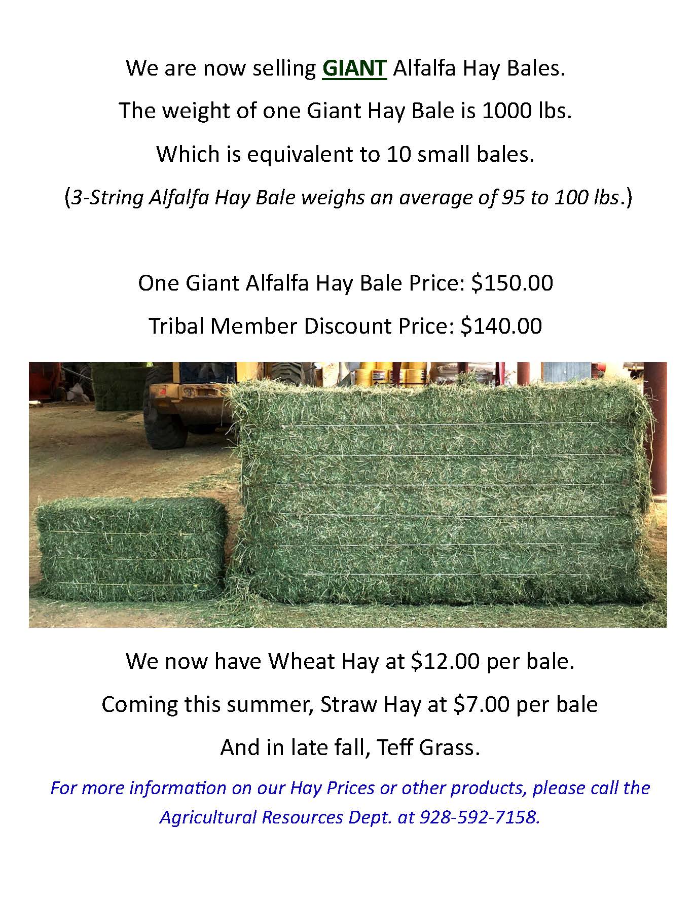 GIANT Alfalfa Hay Bales for Sale – Yavapai-Apache Nation