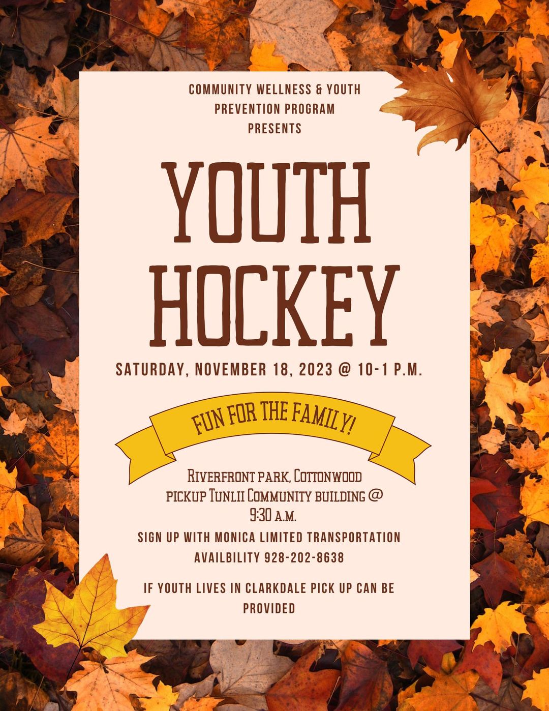 Youth Hockey – Yavapai-Apache Nation
